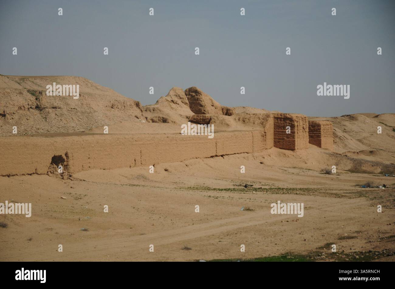 (250324) -- AL-SHIRQAT, March 24, 2025 (Xinhua) -- This photo taken on ...