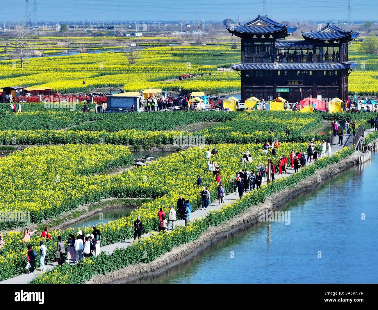 Aerial phot shows the Qianduo Cole Flower Scenic Area in Xinghua City ...