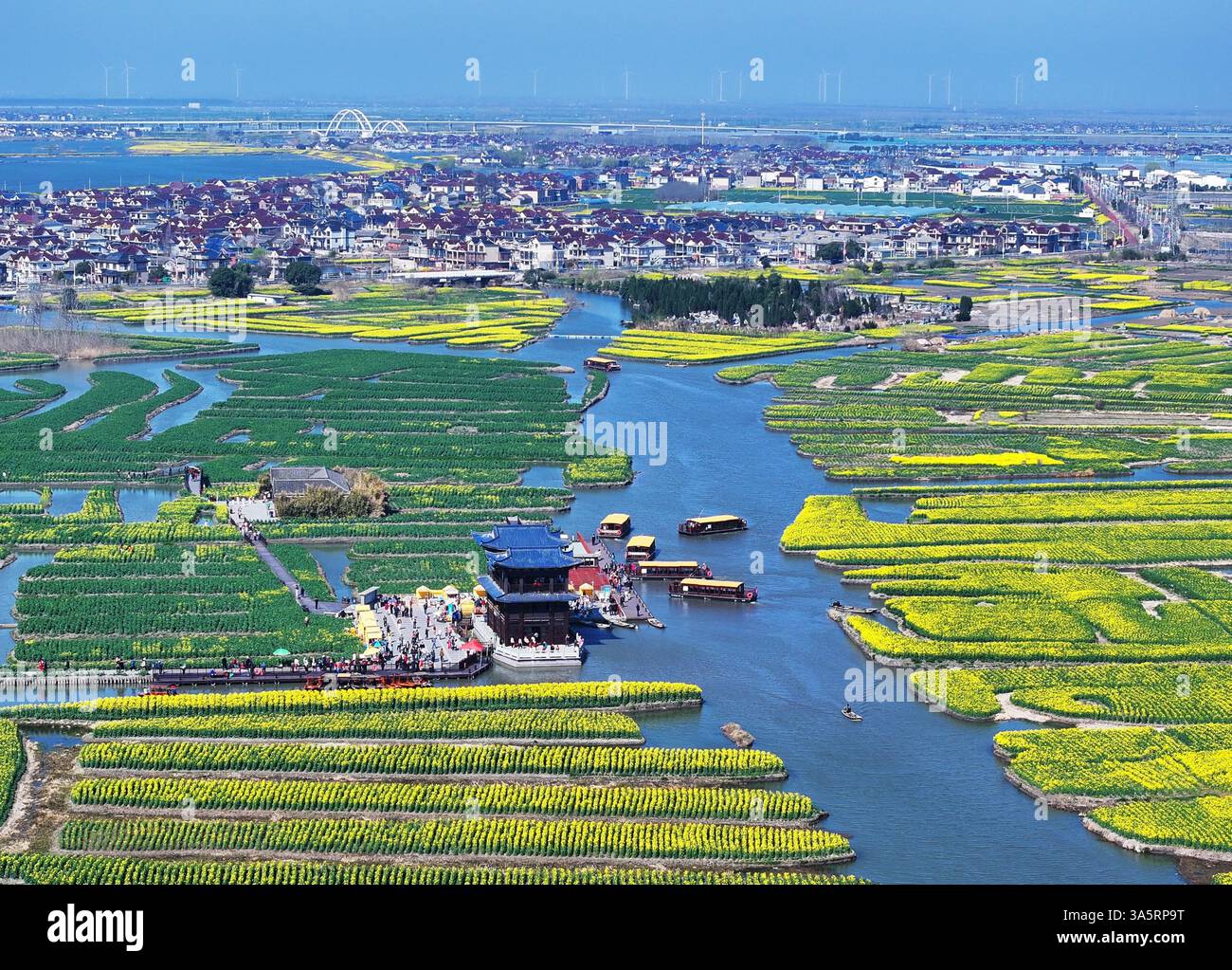 Aerial phot shows the Qianduo Cole Flower Scenic Area in Xinghua City ...