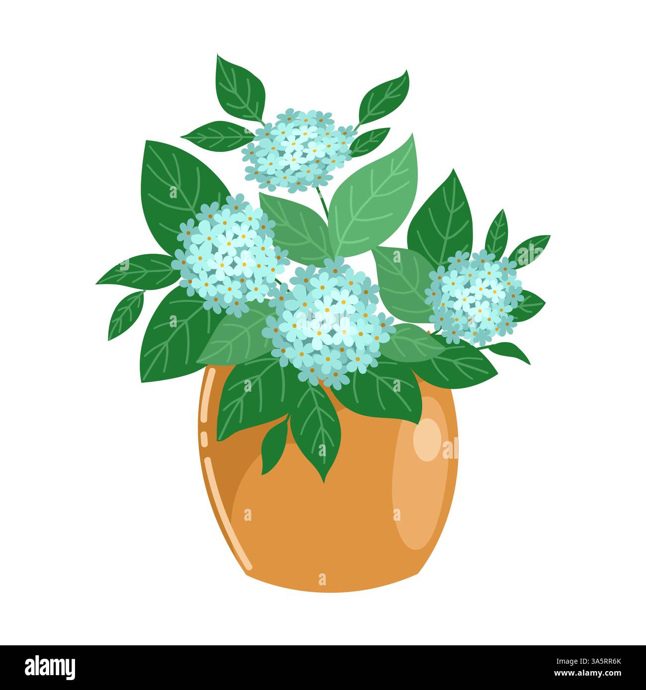 Blue hydrangea in a pot on white background. Vector illustration Stock ...