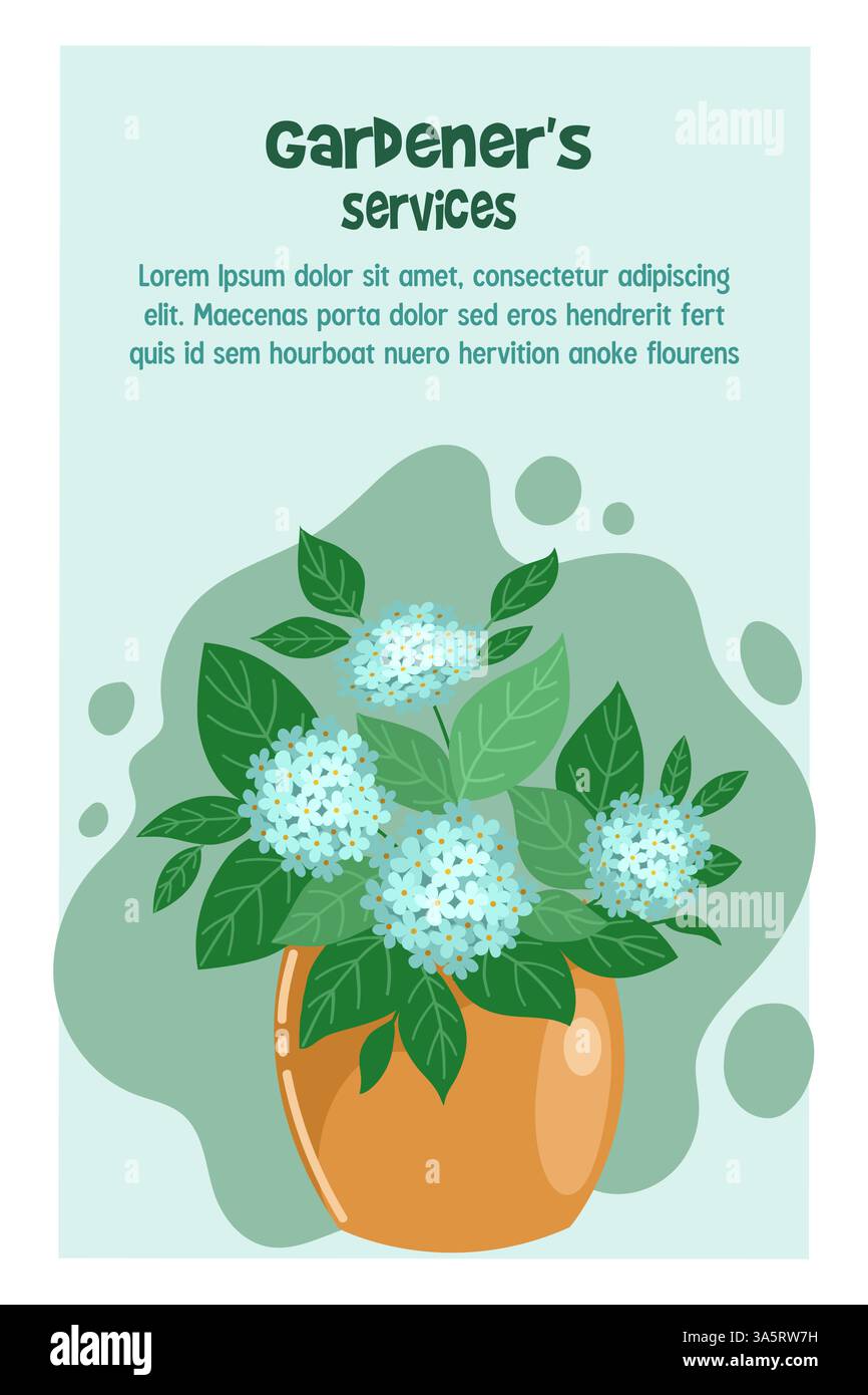 Advertising flyer, gardeners services. Pot of blue hydrangea vector ...