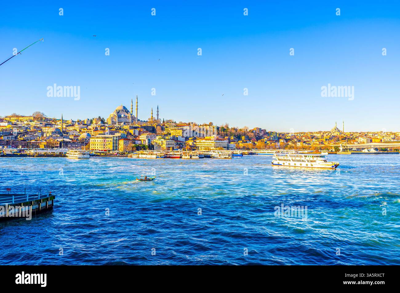 The view on Fatih district with Suleymaniye Mosque and Golden Horn Bay ...