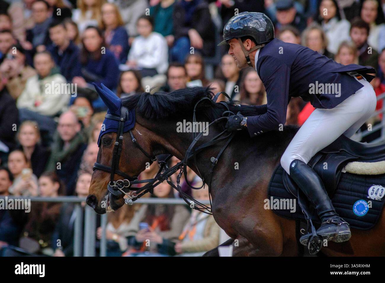 Simon DELESTRE (FRA) riding CAYMAN JOLLY JUMPER during the Saut Hermès ...