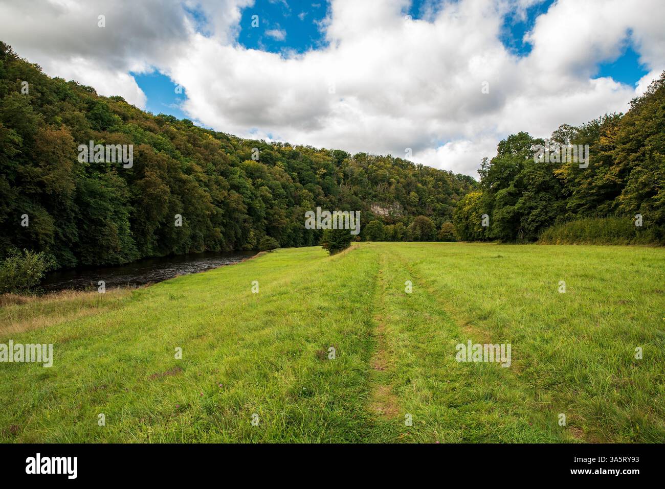 Autumn in Thayatal National Park near Hardegg town in Austria near ...