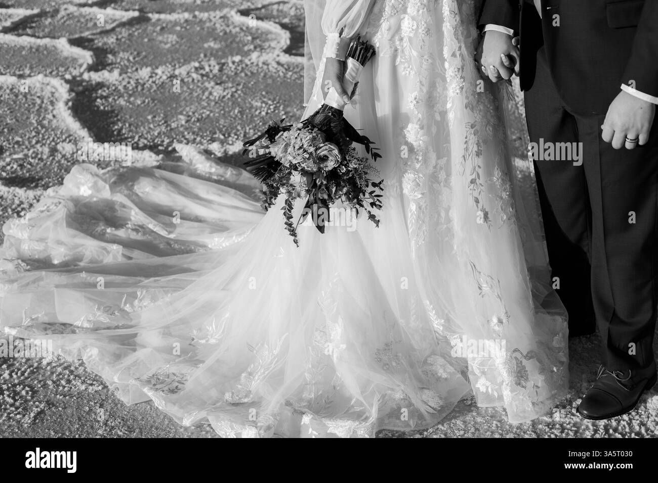 Greenery hands Black and White Stock Photos & Images - Alamy