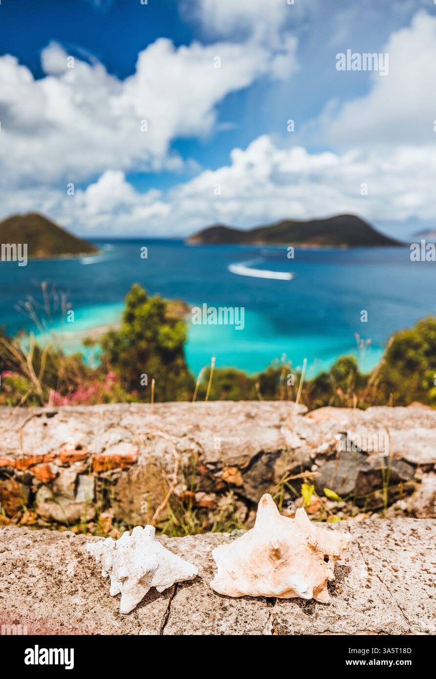 Sea shells in front of a tropical island scene, St John Stock Photo - Alamy