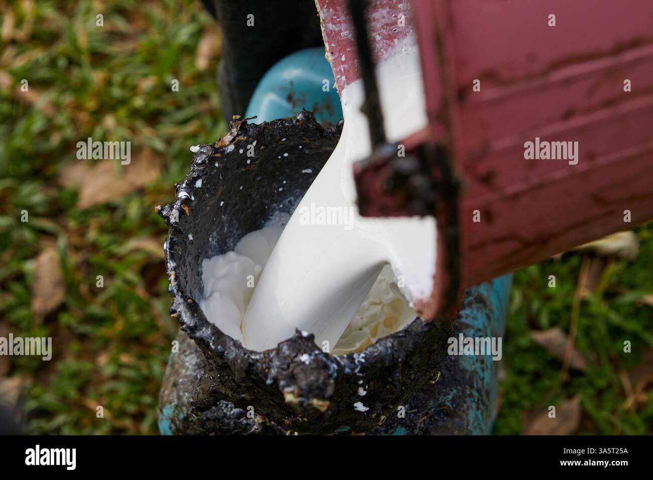People pouring natural latex from rubber in dirty bucket Stock Photo ...