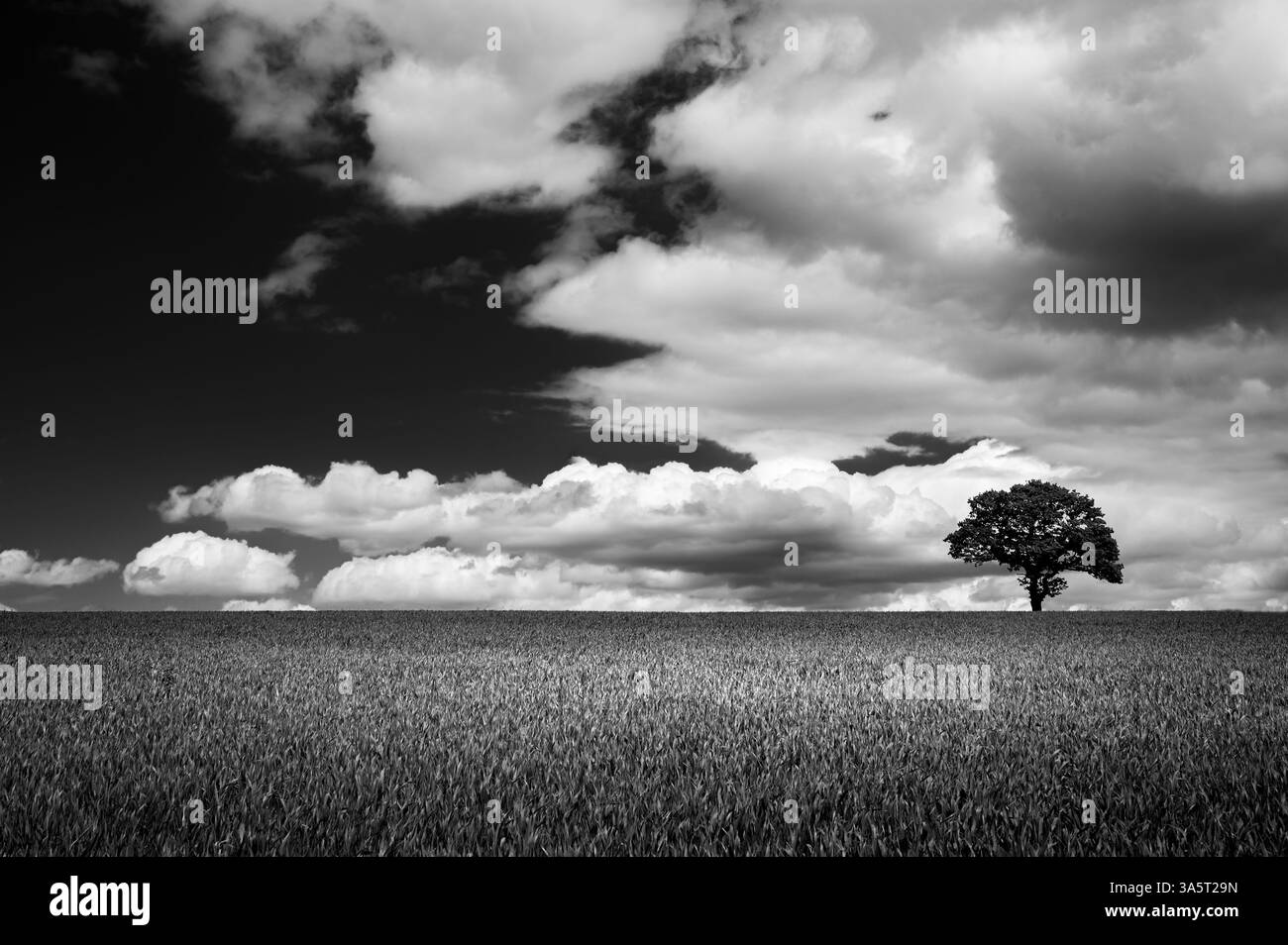 Vast expanse of sky Black and White Stock Photos & Images - Alamy