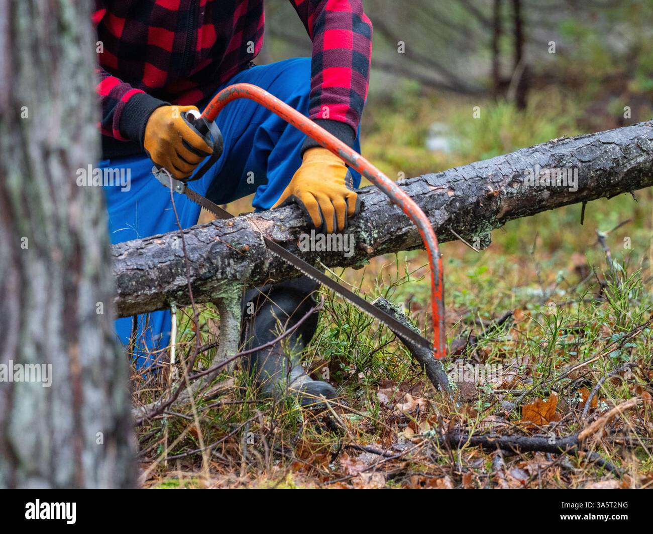Swedish worker hi-res stock photography and images - Alamy