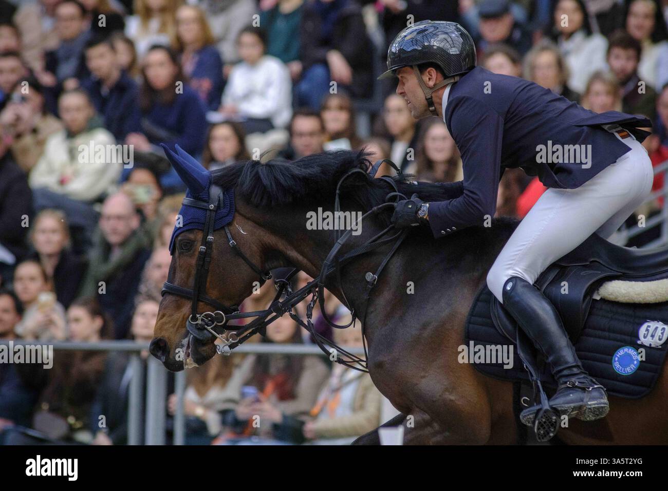 Simon DELESTRE (FRA) riding CAYMAN JOLLY JUMPER during the Saut Hermes ...