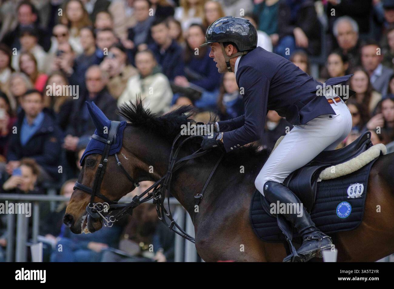 Simon DELESTRE (FRA) riding CAYMAN JOLLY JUMPER during the Saut Hermes ...