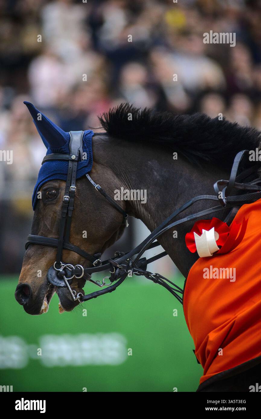 Simon DELESTRE (FRA) riding CAYMAN JOLLY JUMPER during the Saut Hermes ...