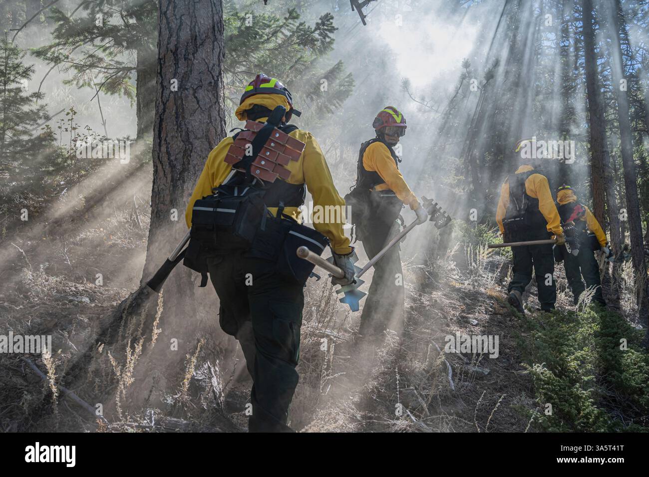 Wildland Firefighter hike in the fire Stock Photo - Alamy
