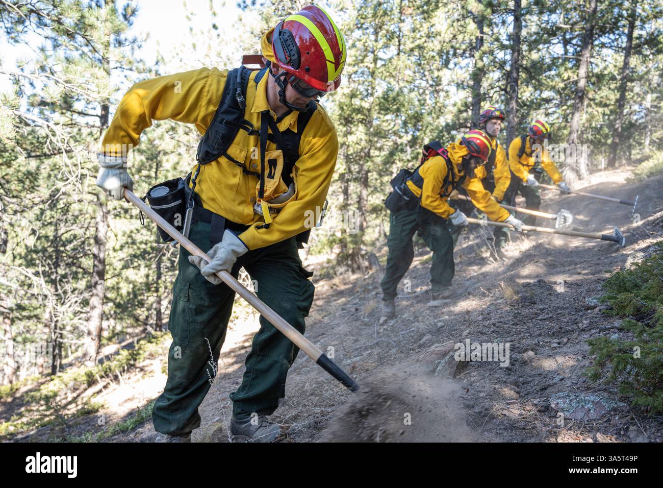 Four wildland firefighter dig line Stock Photo - Alamy