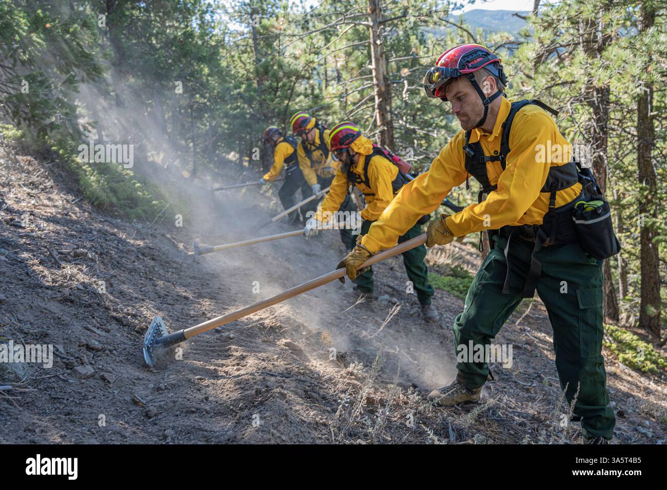 Wildland Firefighters Dig Line in Colorado Stock Photo - Alamy