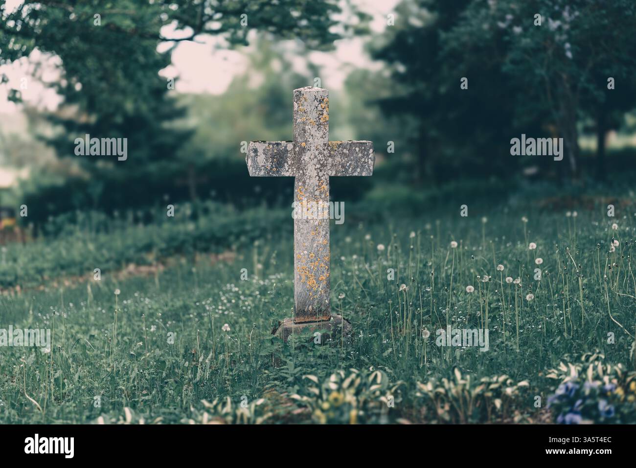 A weathered wooden cross stands in a lush green cemetery, evoking a profound sense of peace and ...
