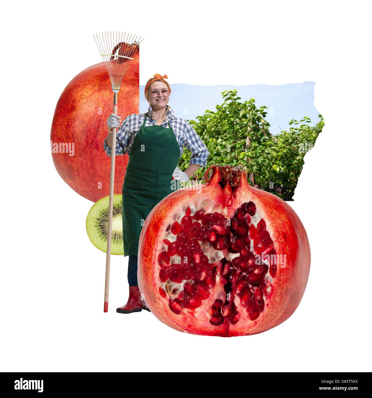 Female gardener holding rake near massive pomegranate and kiwi in green ...