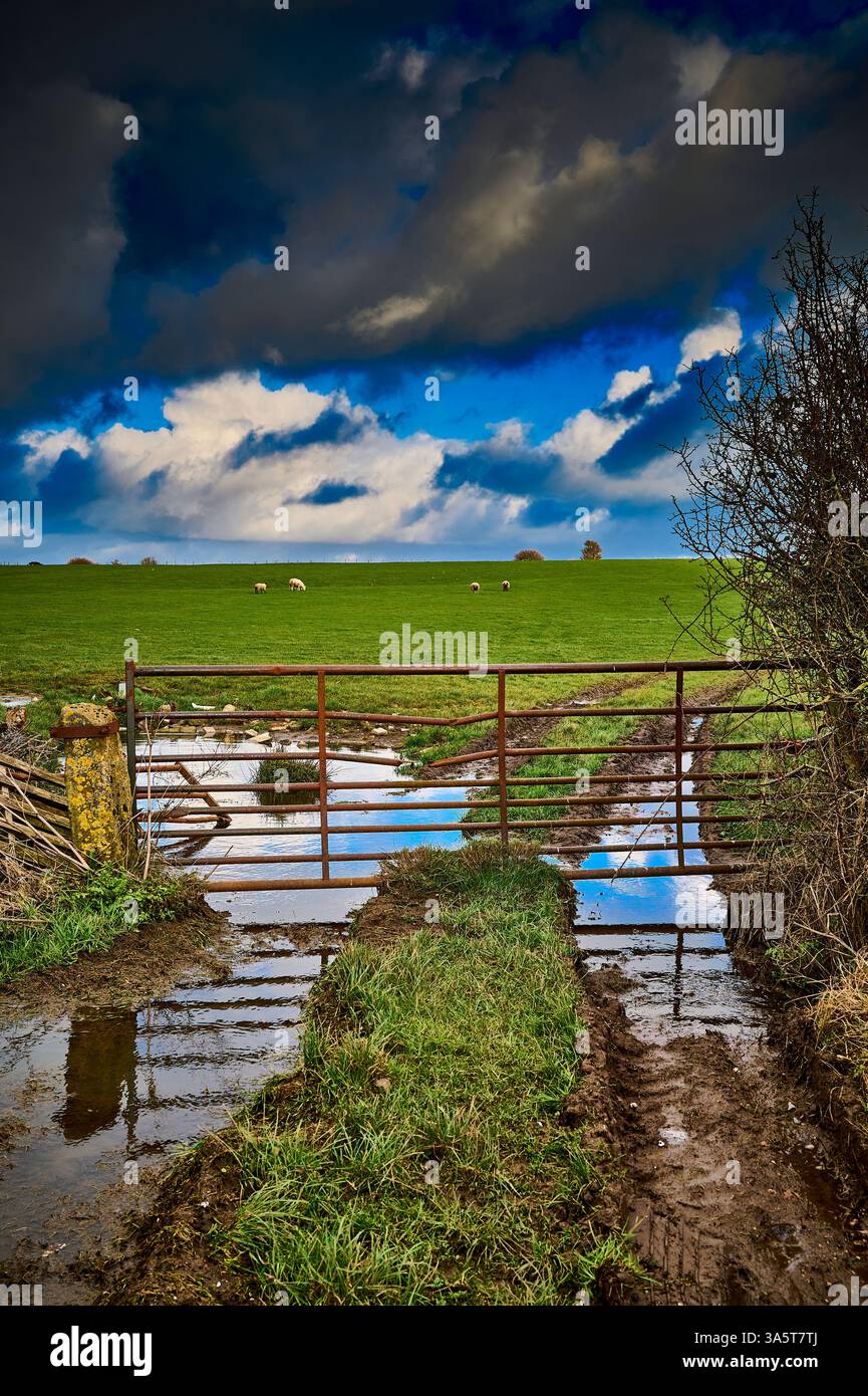 Dramatic sky over flooded farm field Stock Photo - Alamy