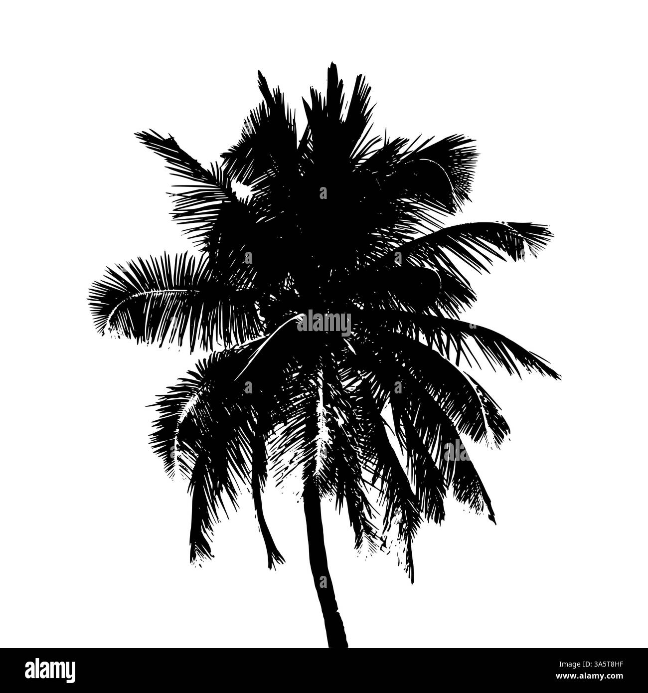 Palm tree black silhouette isolated on white background. Realistic palm ...