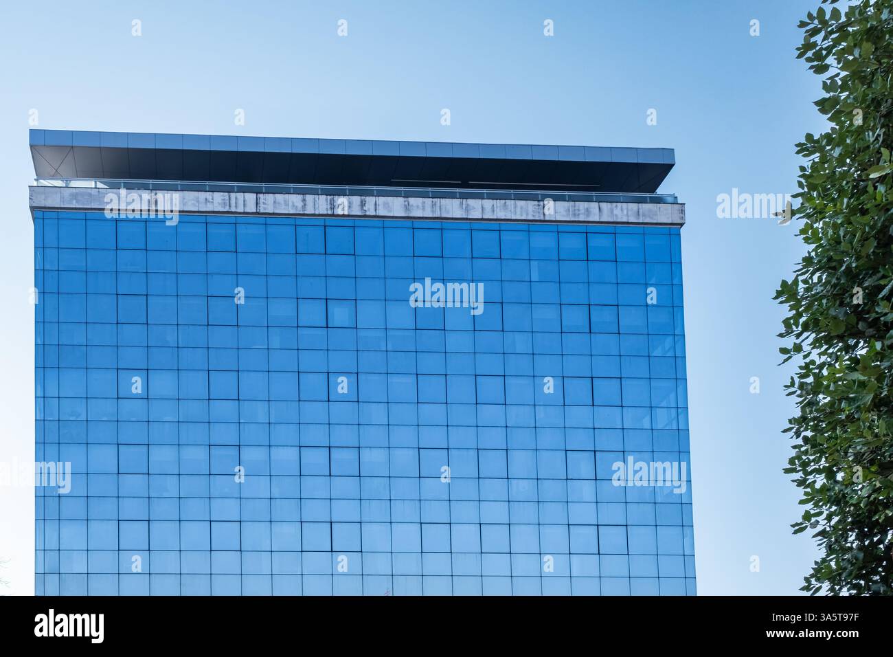 Structural glass wall with windows. Architecture details Glass wall ...