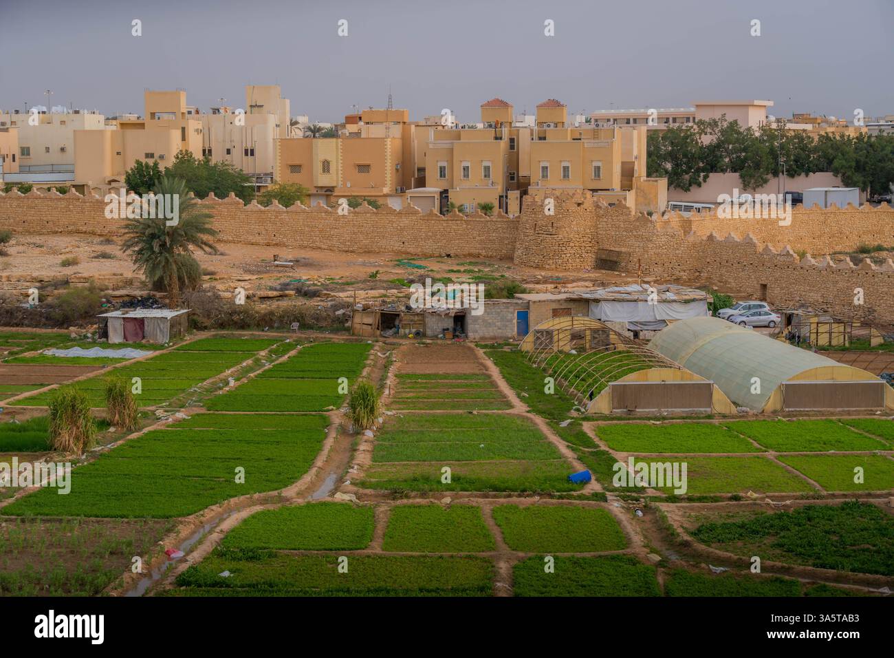 Green farm fields with divided agricultural land, bordered by a ...