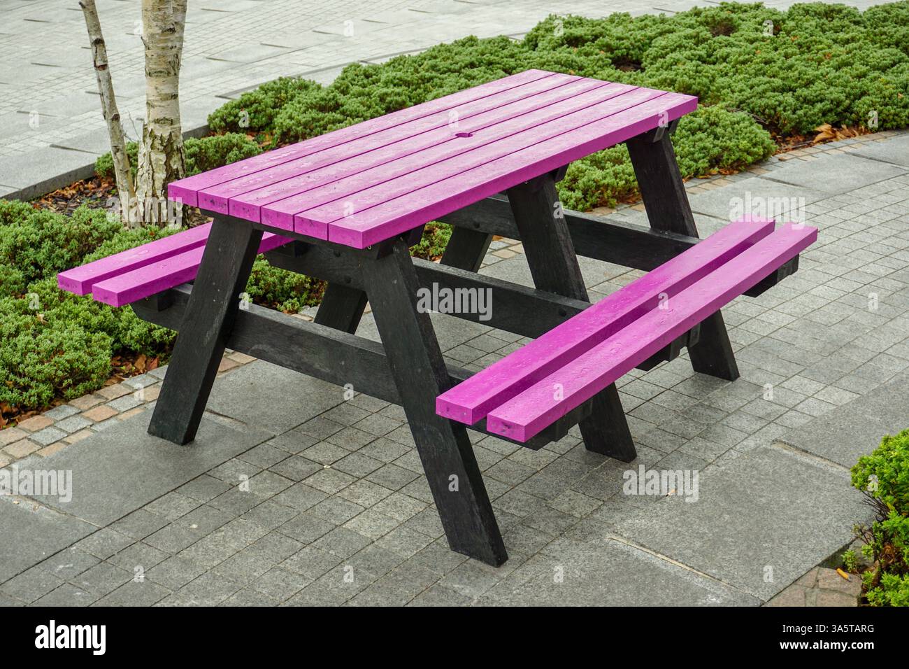 pink picnic table and benches in public area. wooden seating brightly ...