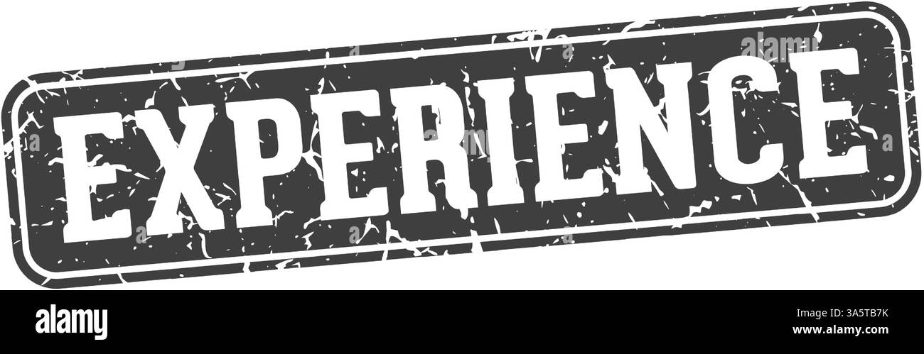 experience stamp. experience rectangular sign isolated on transparent ...