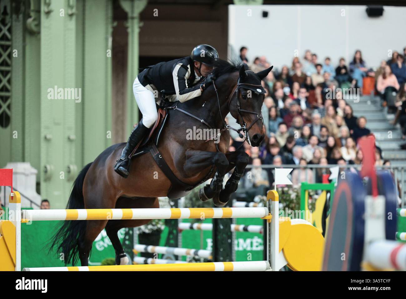 Peder FREDRICSON of Sweden with Alcapone des carmille during the Grand ...