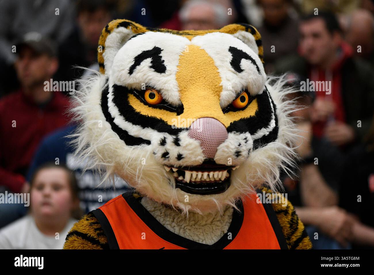 PROVIDENCE, RI - MARCH 15: The Princeton Tigers mascot looks on during ...