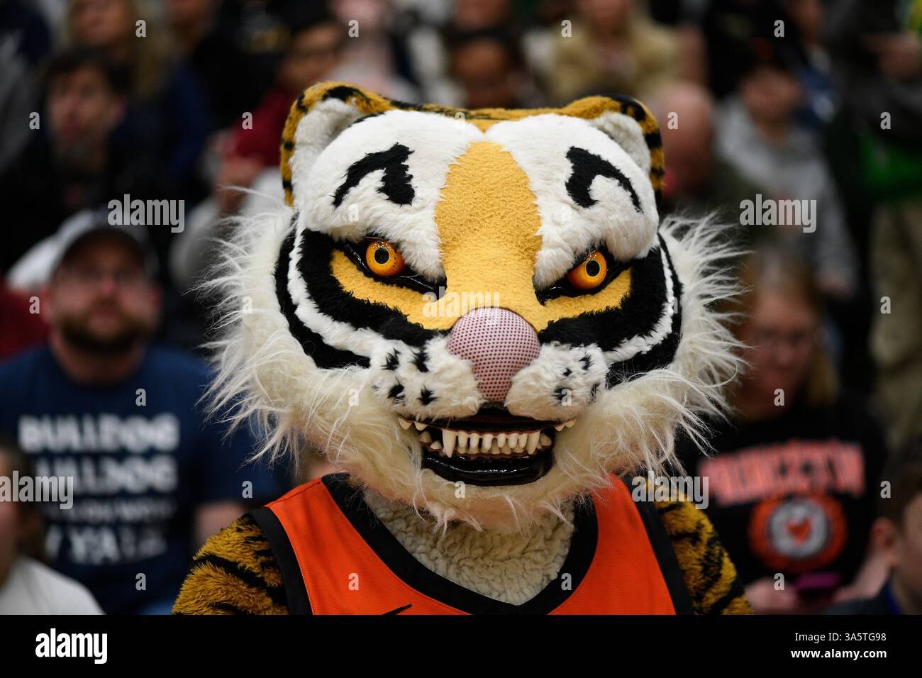 PROVIDENCE, RI - MARCH 15: The Princeton Tigers mascot looks on during ...