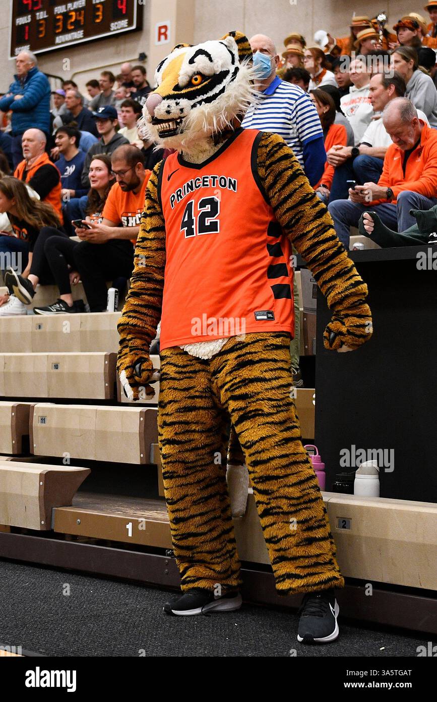 PROVIDENCE, RI - MARCH 15: The Princeton Tigers mascot looks on during ...