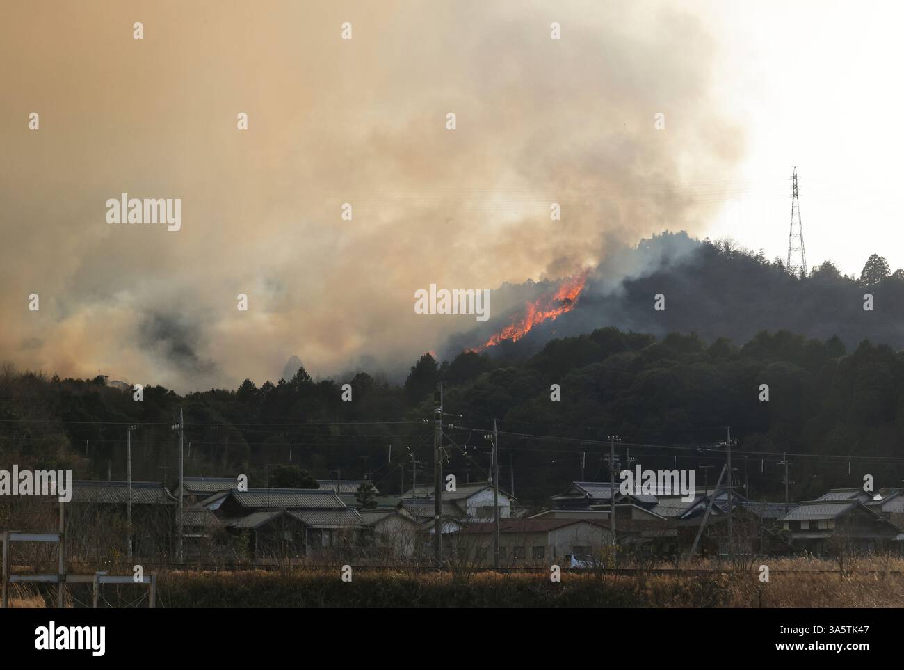 A photo shows a forest fire, broke out on 23 and has continued spread ...