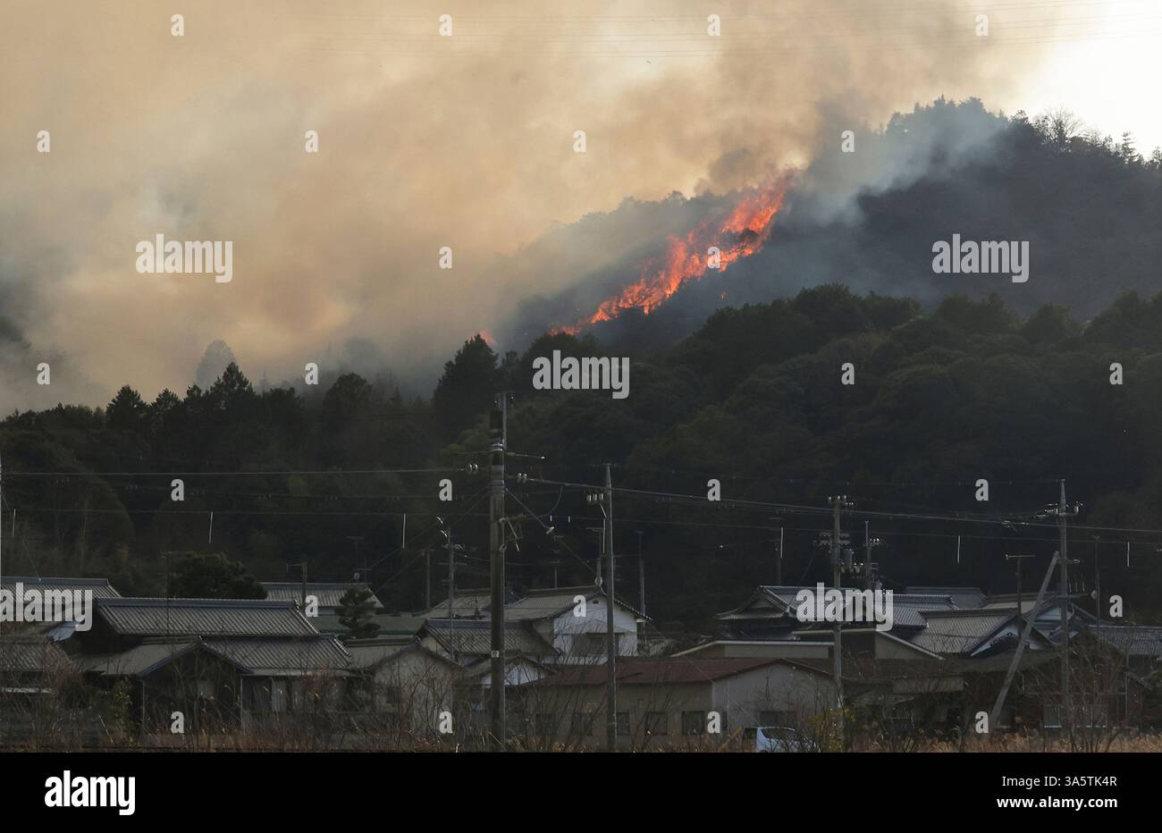 A photo shows a forest fire, broke out on 23 and has continued spread ...