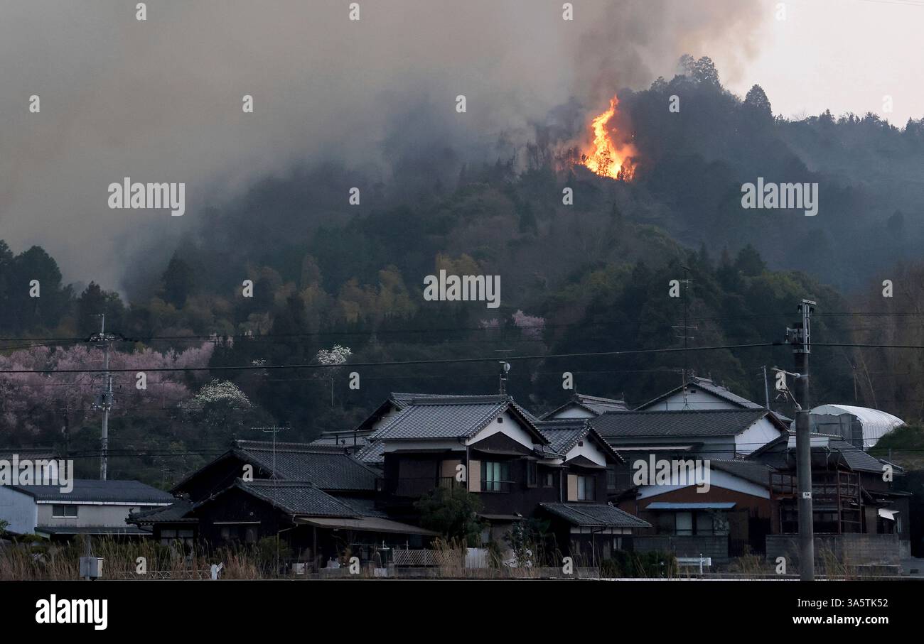 A photo shows a forest fire, broke out on 23 and has continued spread ...