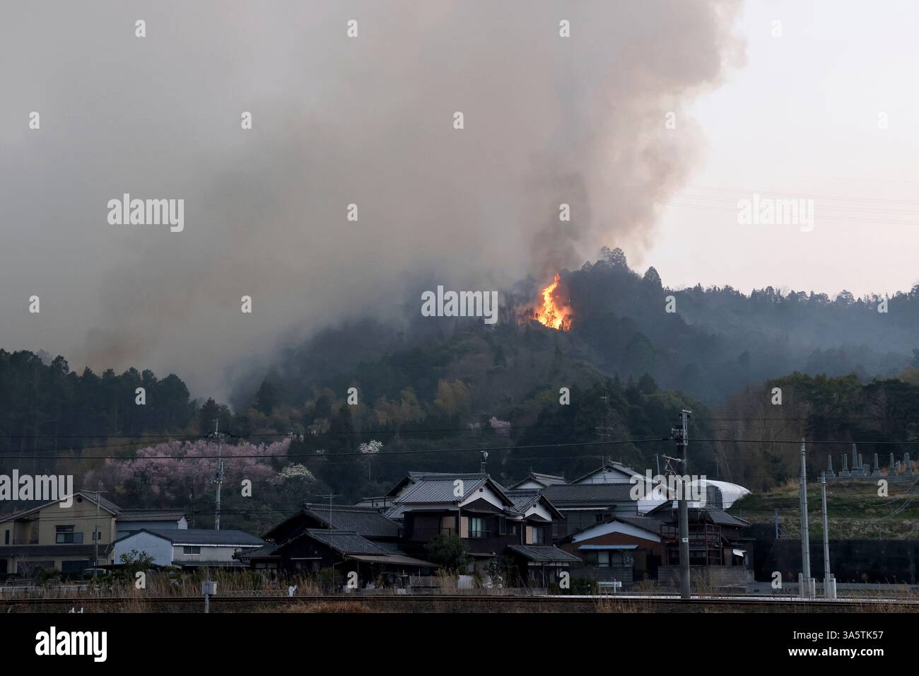 A photo shows a forest fire, broke out on 23 and has continued spread ...