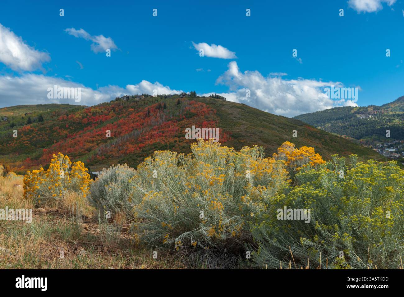Wasatch front hi-res stock photography and images - Alamy