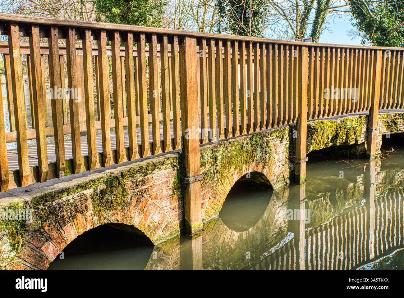 Tickhill millpond hi-res stock photography and images - Alamy