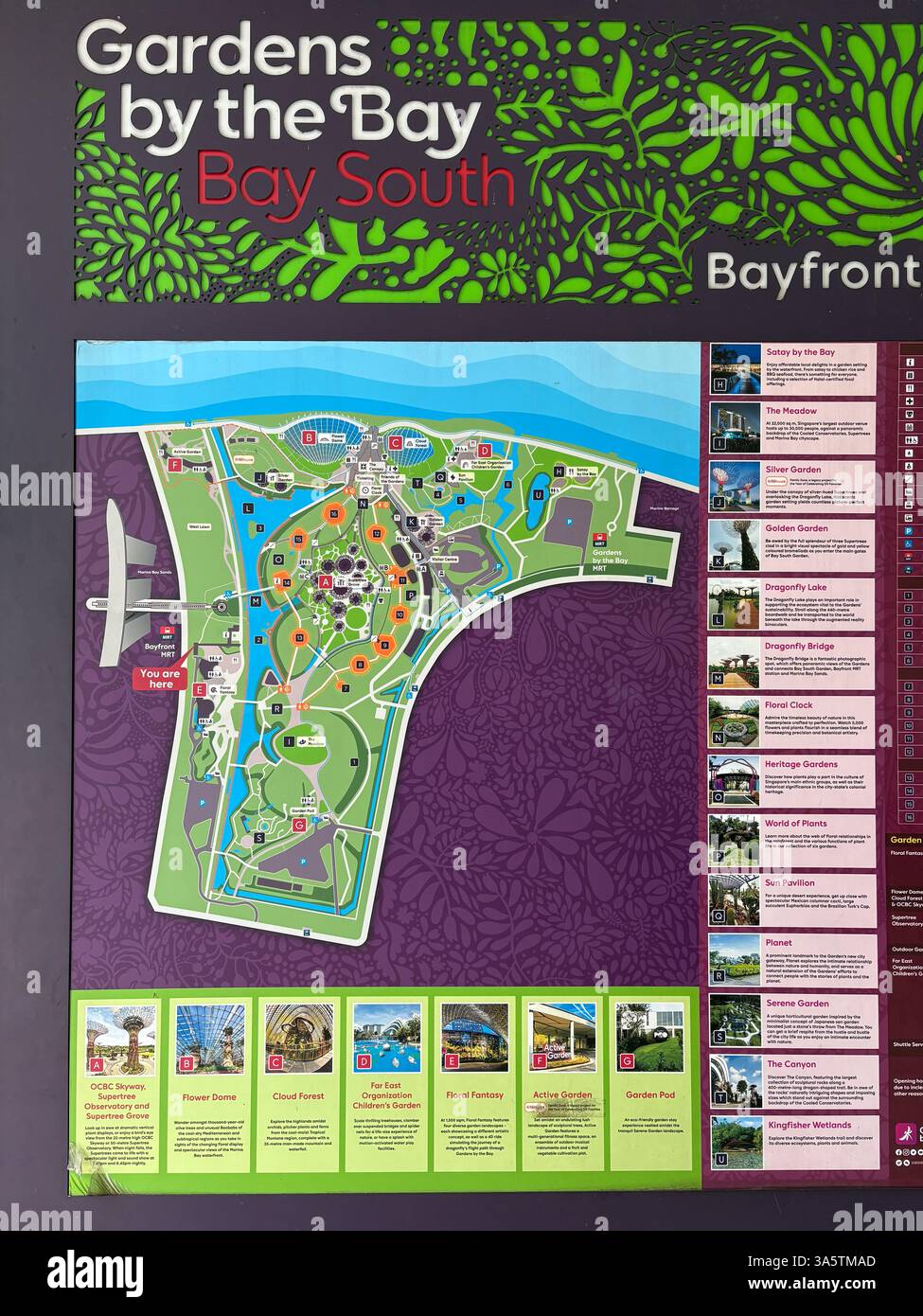 Gardens by the bay map at Bay South in Singapore displaying the park ...