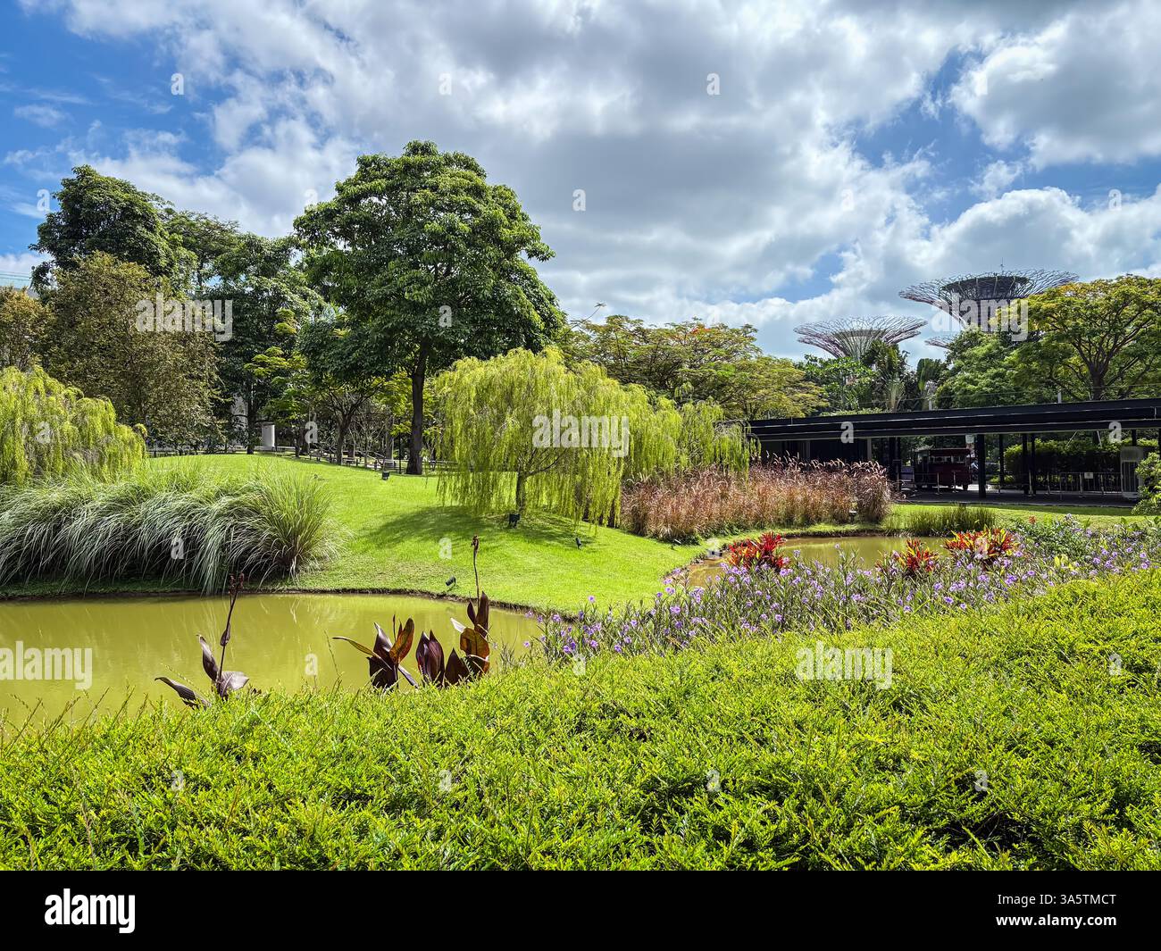 Gardens by the bay is a nature park spanning 101 hectares in Singapore ...