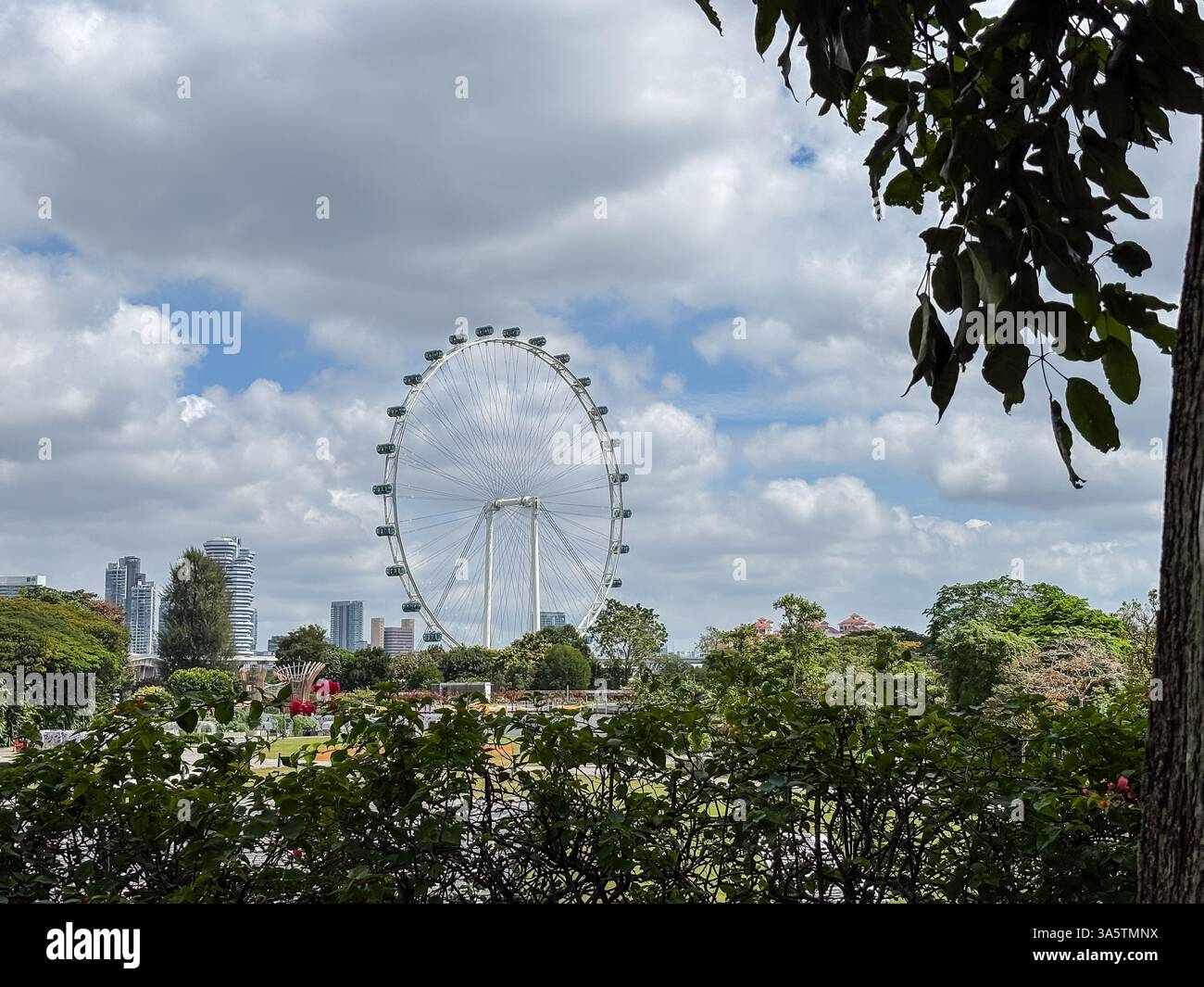 Singapore flyer, a giant observation wheel, is viewed from gardens by ...