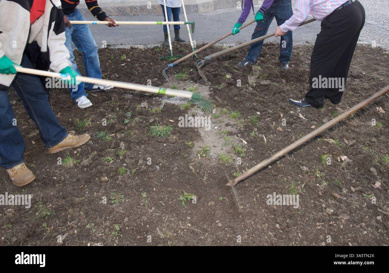 soil on a field in agriculture, usable land and arable farming soil on ...