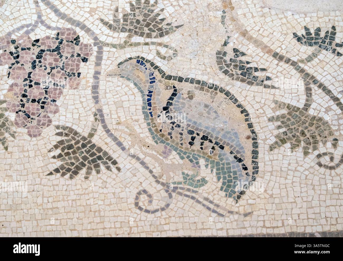 Detail from a Roman floor Mosaic in the House of Dionysus, Paphos ...