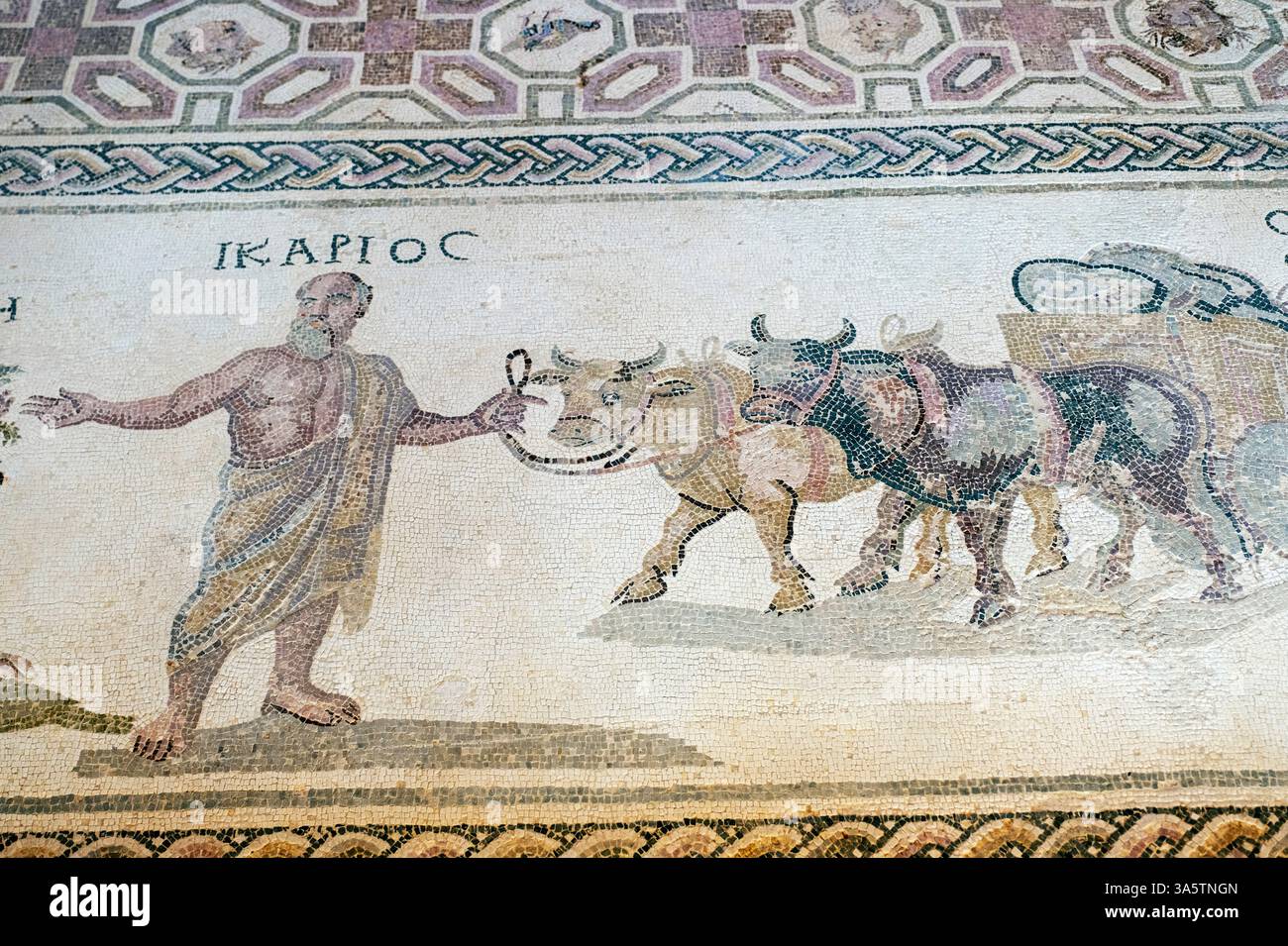 House of Dionysos, Cyprus: Roman floor mosaic panel depicts Icarios ...