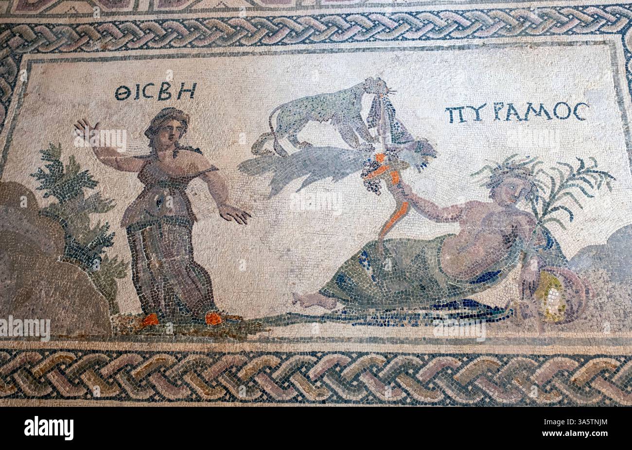 Roman floor mosaic depicting the love story between Pyramus and Thisbe ...