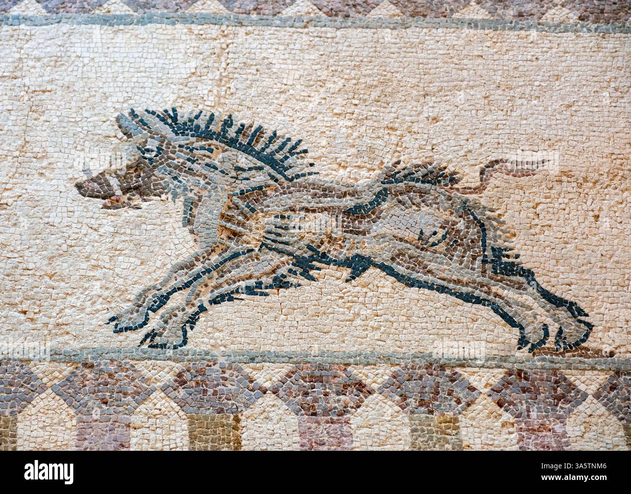 House of Dionysos, Paphos: Hunting scene Roman floor mosaic depicting a ...