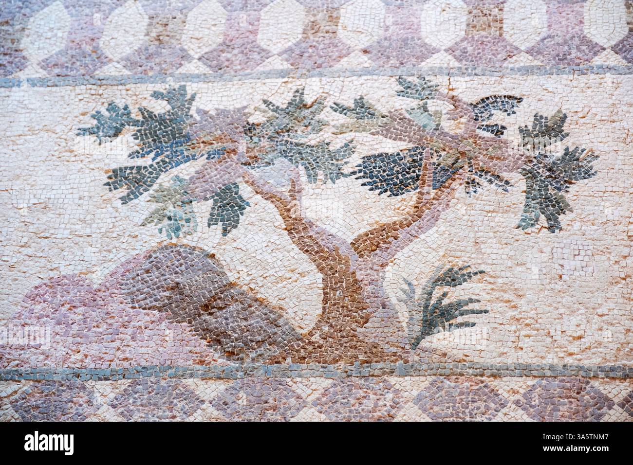 Tree from a Roman hunting scene mosaic, The House of Dionysus, Paphos ...