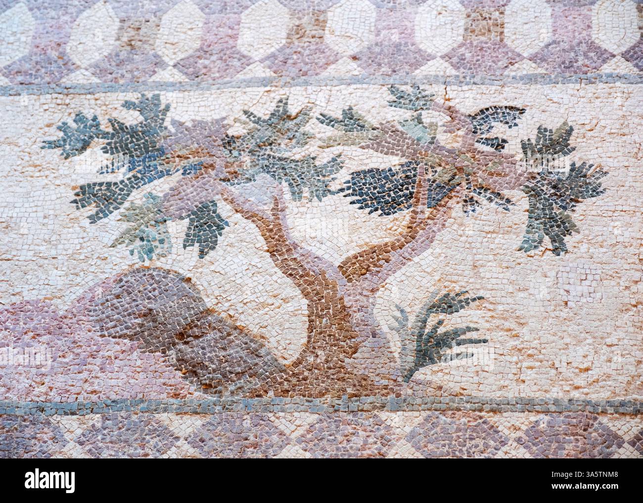 Tree from a Roman hunting scene mosaic, The House of Dionysus, Paphos ...