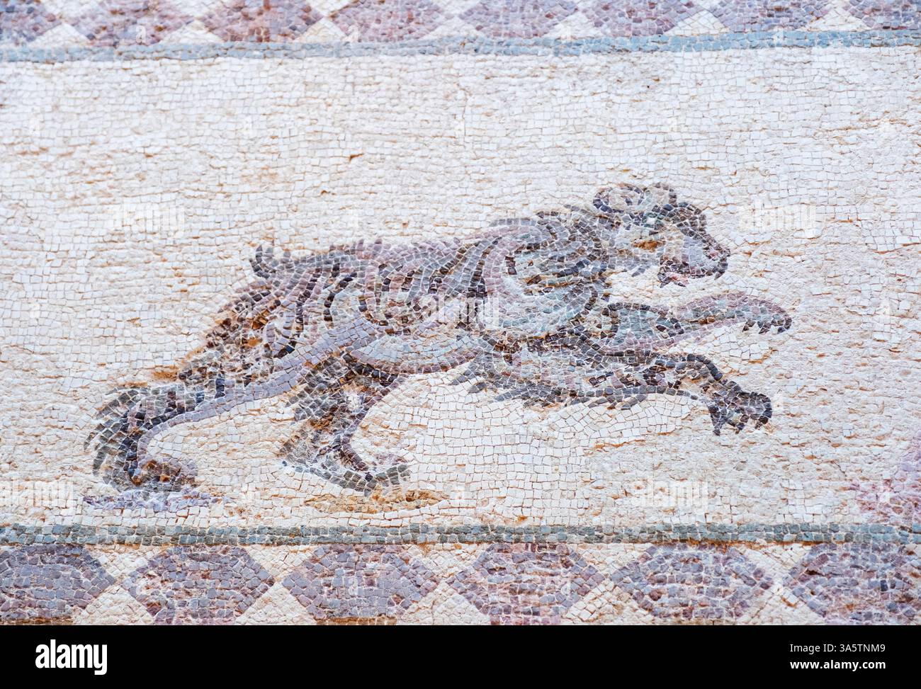 Hunting scene mosaic depicting arunning bear, Pafos, House of Dionysus ...