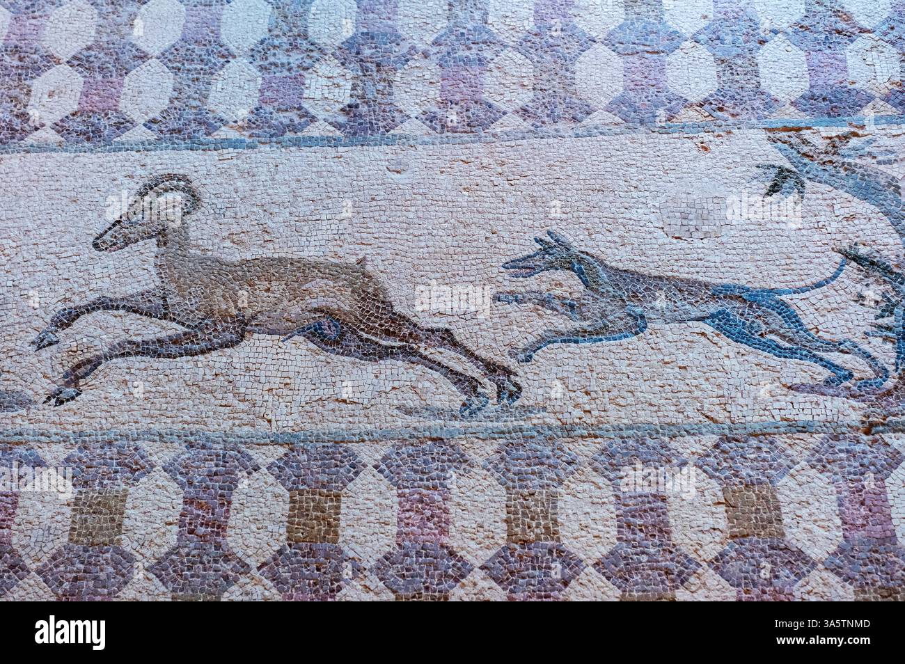 A hunting scene mosaic showing a dog chasing deer in the House of ...