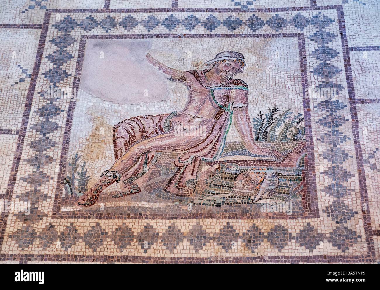 House of Dionysus, Paphos: “Narcissus” Mosaic Representation of ...